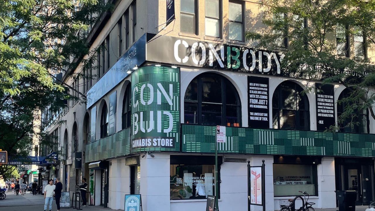 Our 11 Absolute Favorite Recreational Cannabis Dispensaries in ...